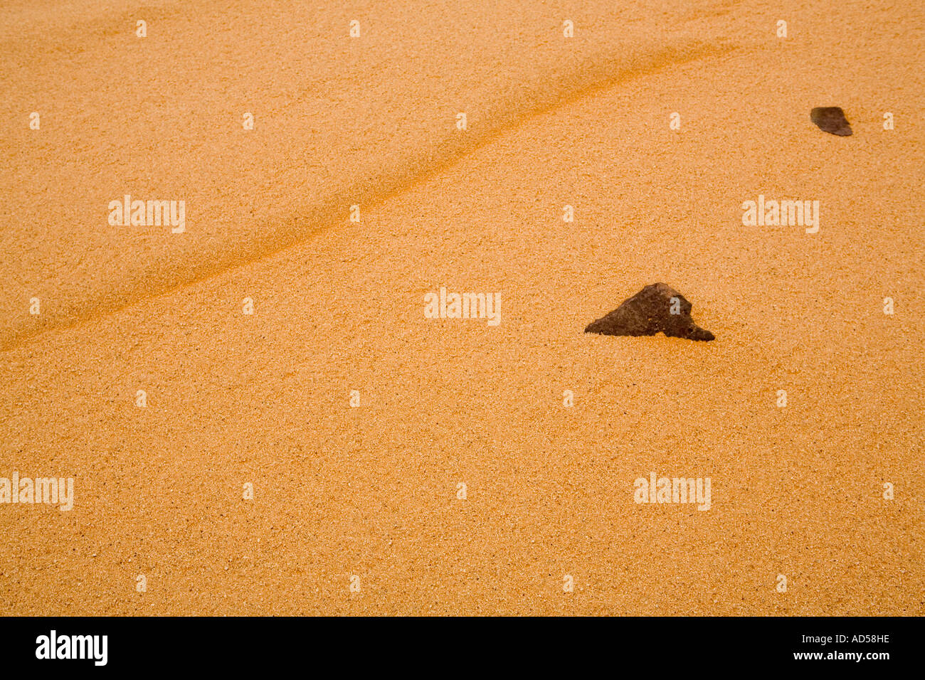 Desertization hi-res stock photography and images - Alamy