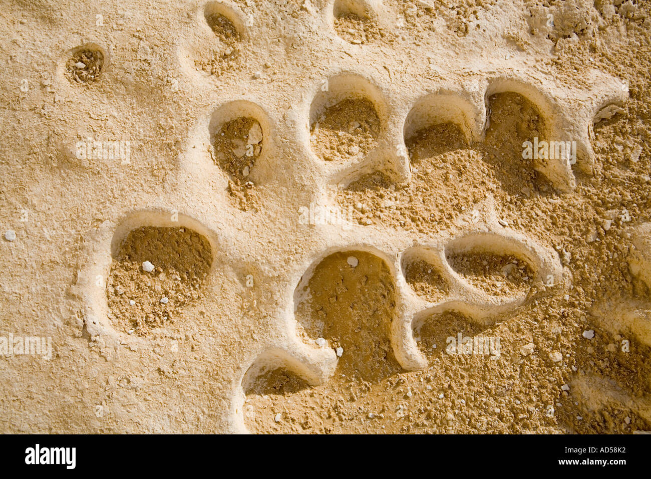 Pebble accretion hi-res stock photography and images - Alamy