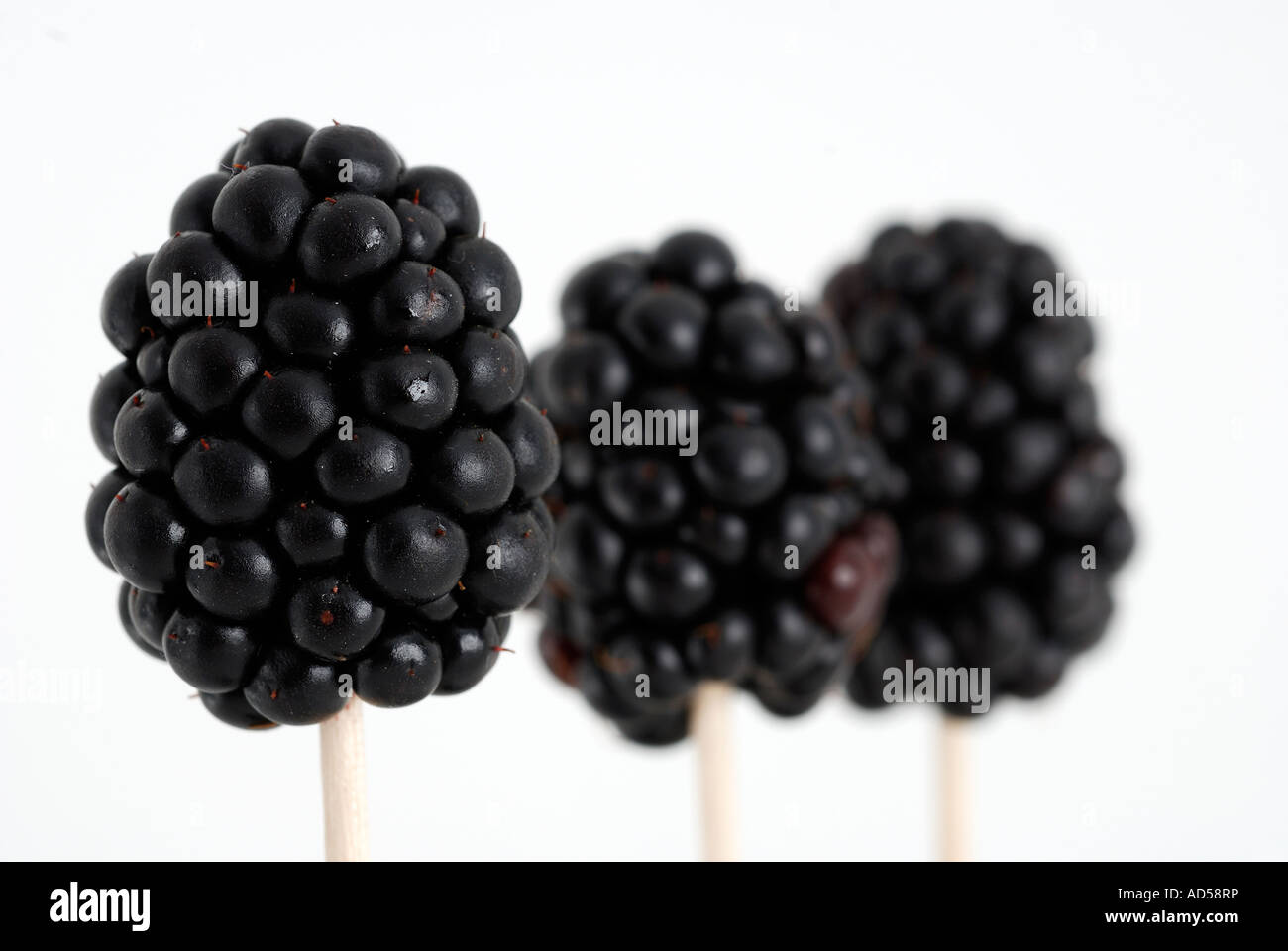 BLACKBERRIES ON TOOTHPICKS ON WHITE BACKGROUND Stock Photo - Alamy