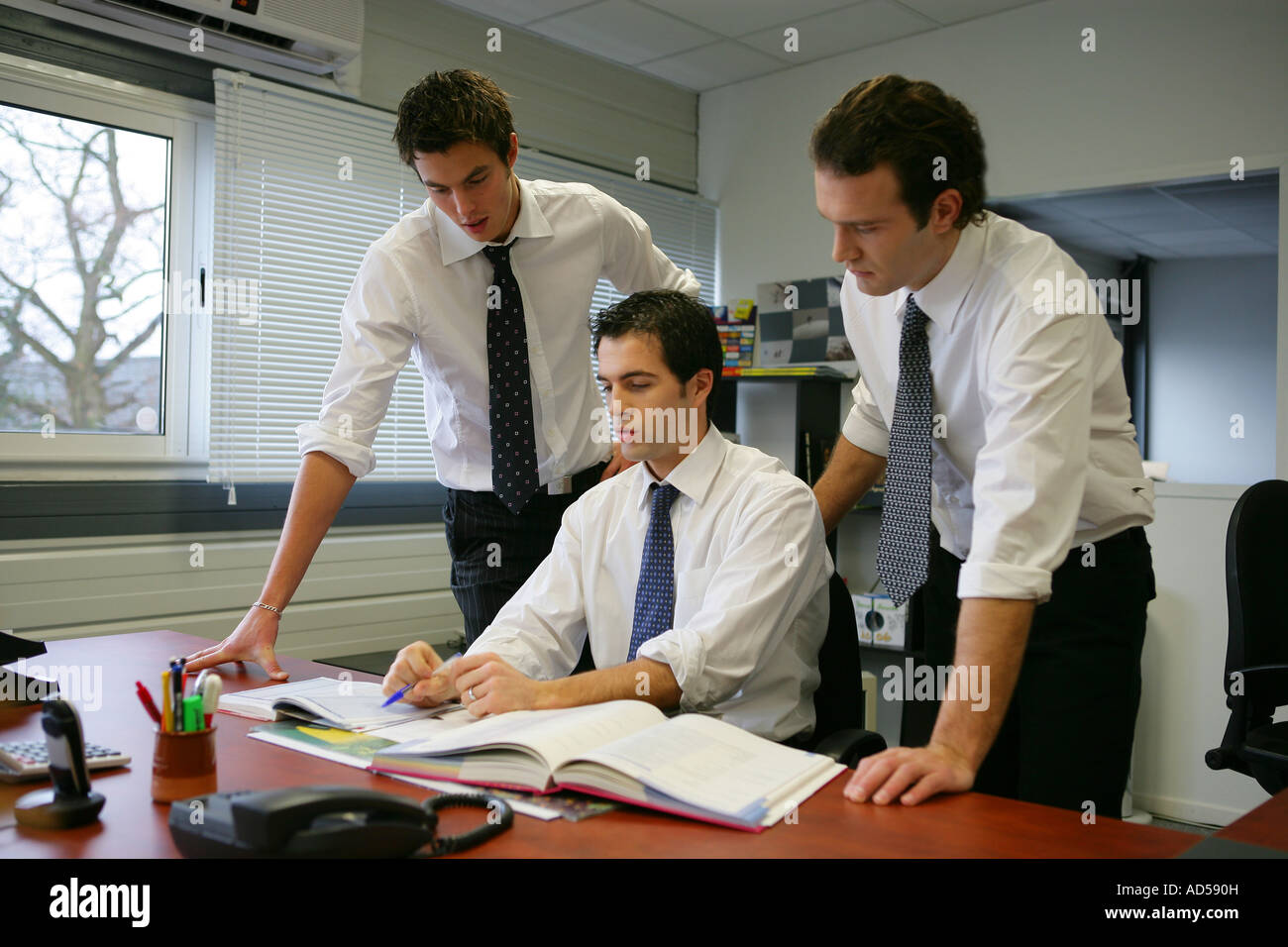 Professionals at the office Stock Photo - Alamy