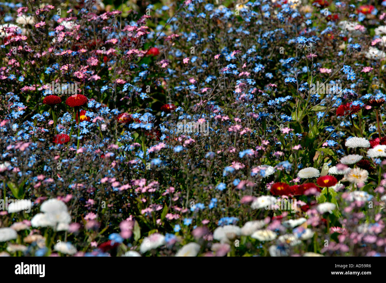 Assorted Flower Garden Stock Photo - Alamy
