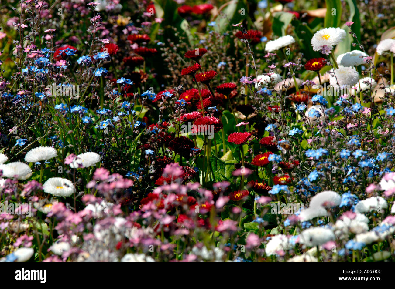 Assorted Flower Garden Stock Photo - Alamy