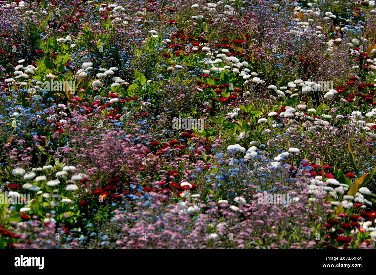 Assorted Flower Garden Stock Photo - Alamy