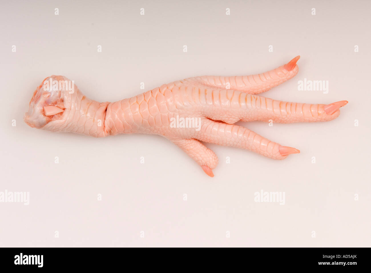 Chicken foot hi-res stock photography and images - Alamy