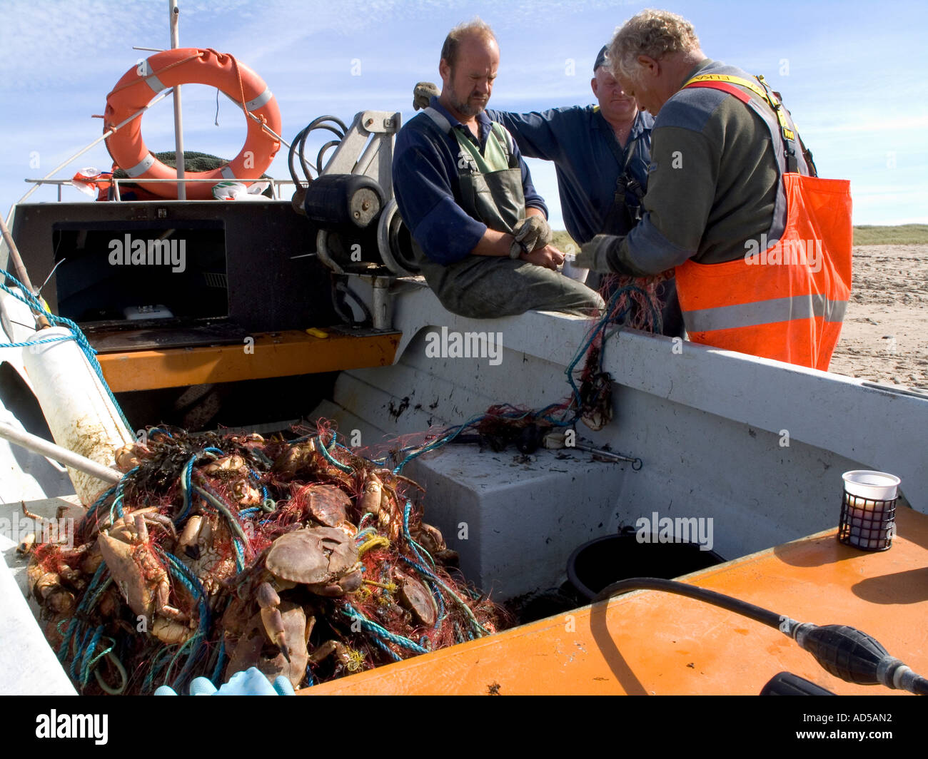 Crab fishermen with their catch Agger Western Jutland Denmark Stock ...