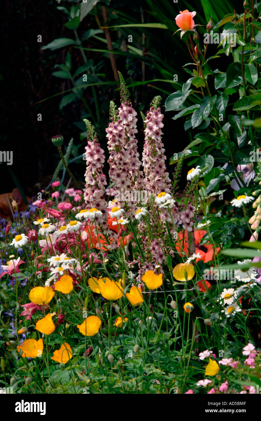 Mixture of sizes hi-res stock photography and images - Alamy