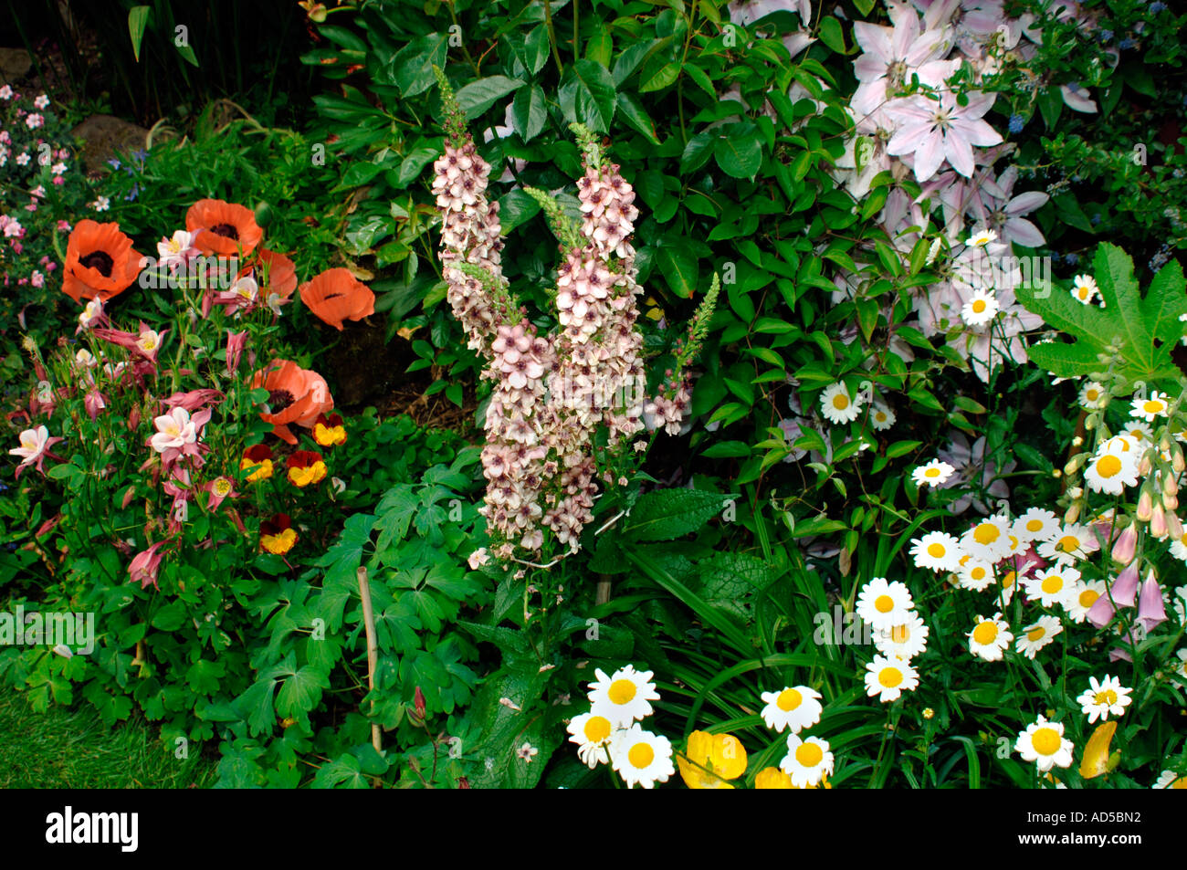 Mixture of sizes hi-res stock photography and images - Alamy