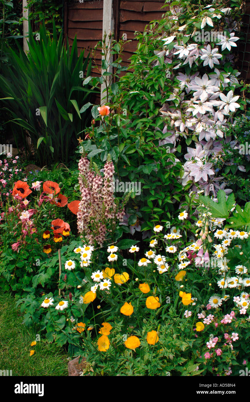Mixture Of Garden Flowers Stock Photo - Alamy