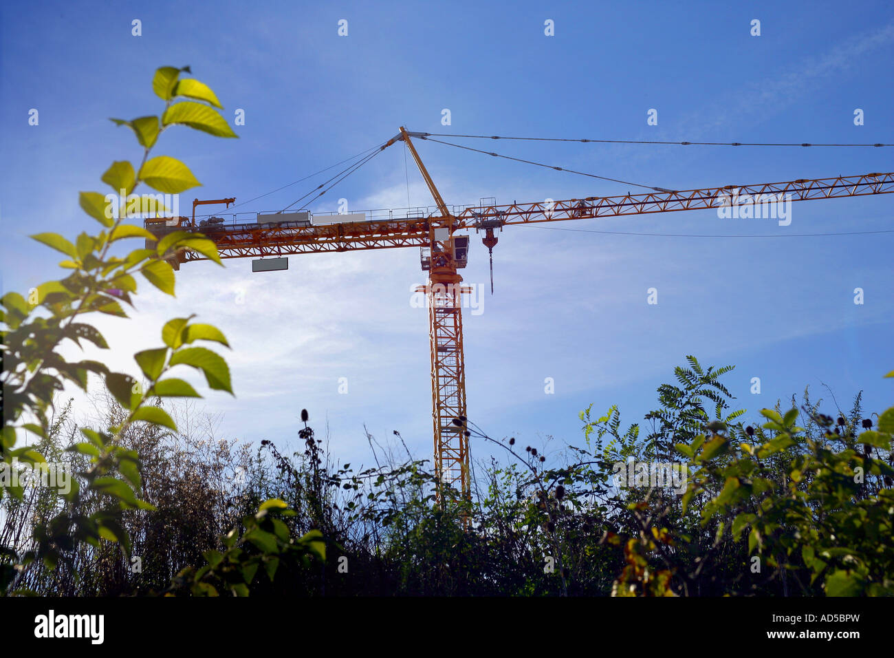 Derrick at a building site Stock Photo - Alamy