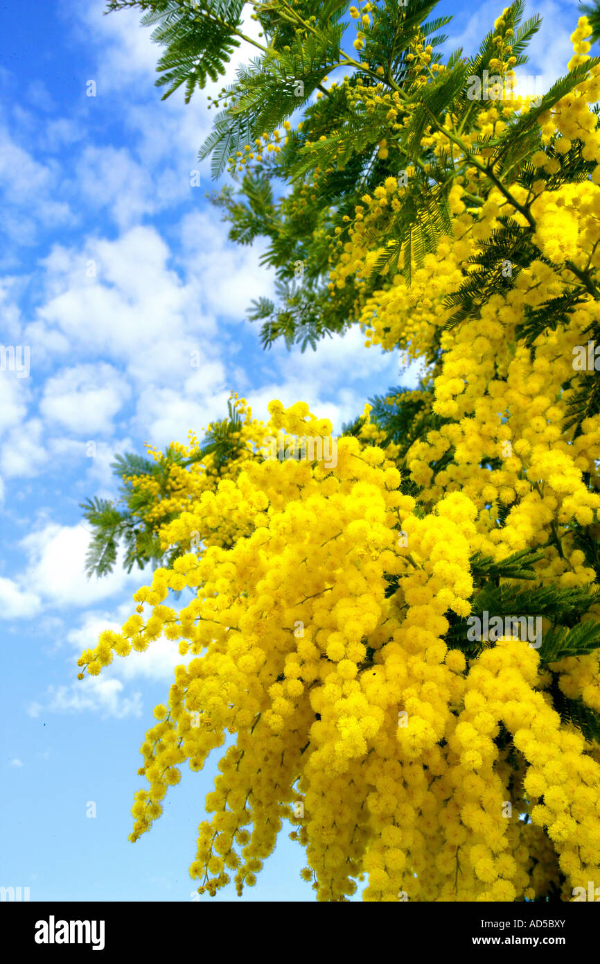 Ph146 hi-res stock photography and images - Alamy