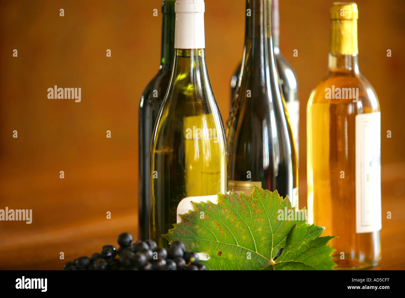Bottles of wine Stock Photo - Alamy