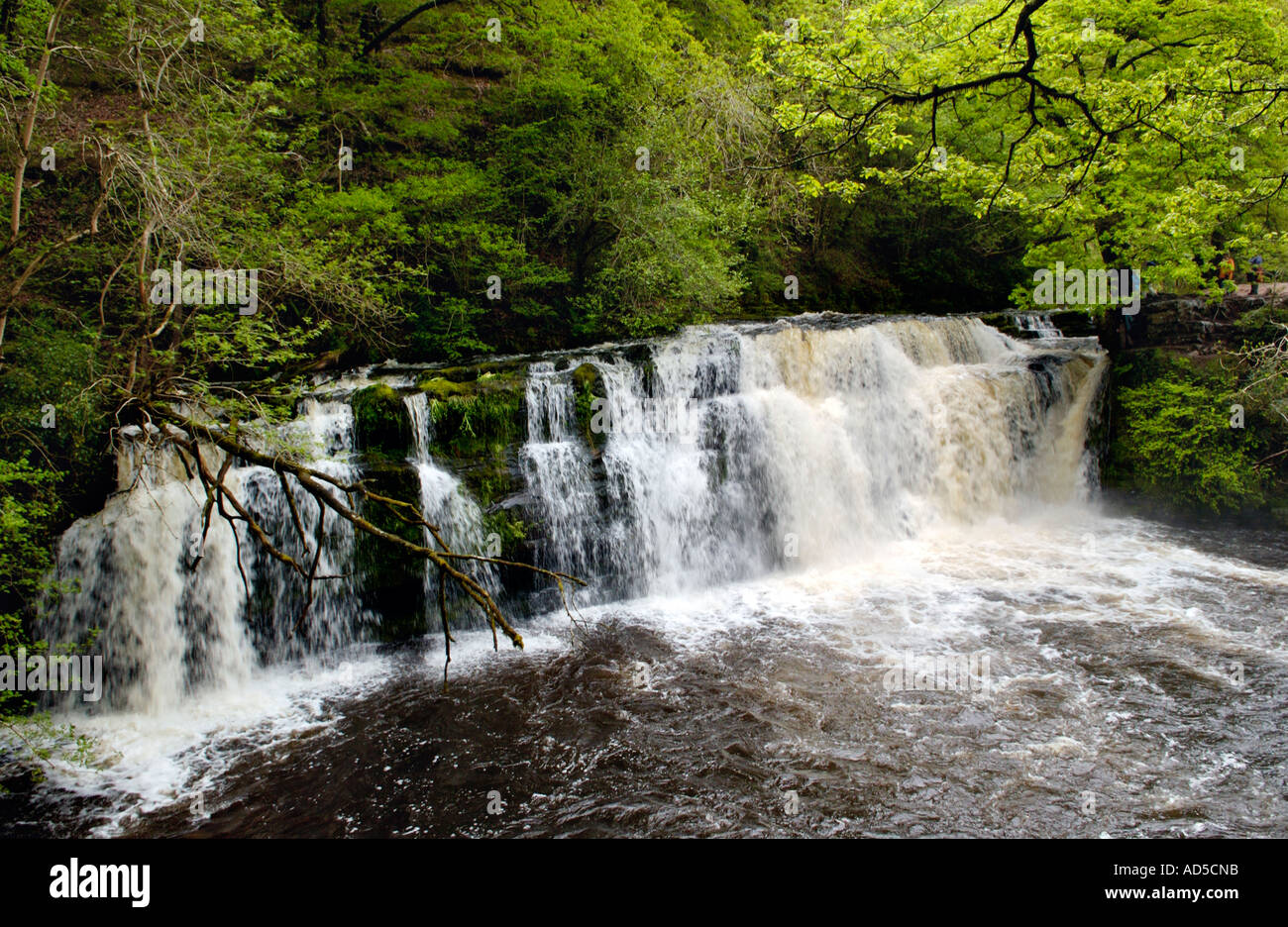 Lower Cilhepste Falls on the Afon Hepste part of the waterfall walk at ...