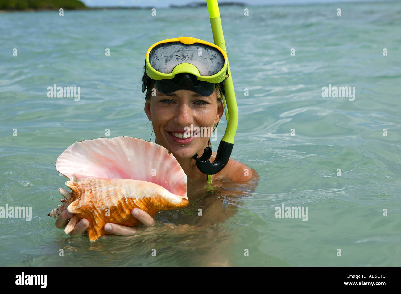Diver holding a large seashell Stock Photo - Alamy