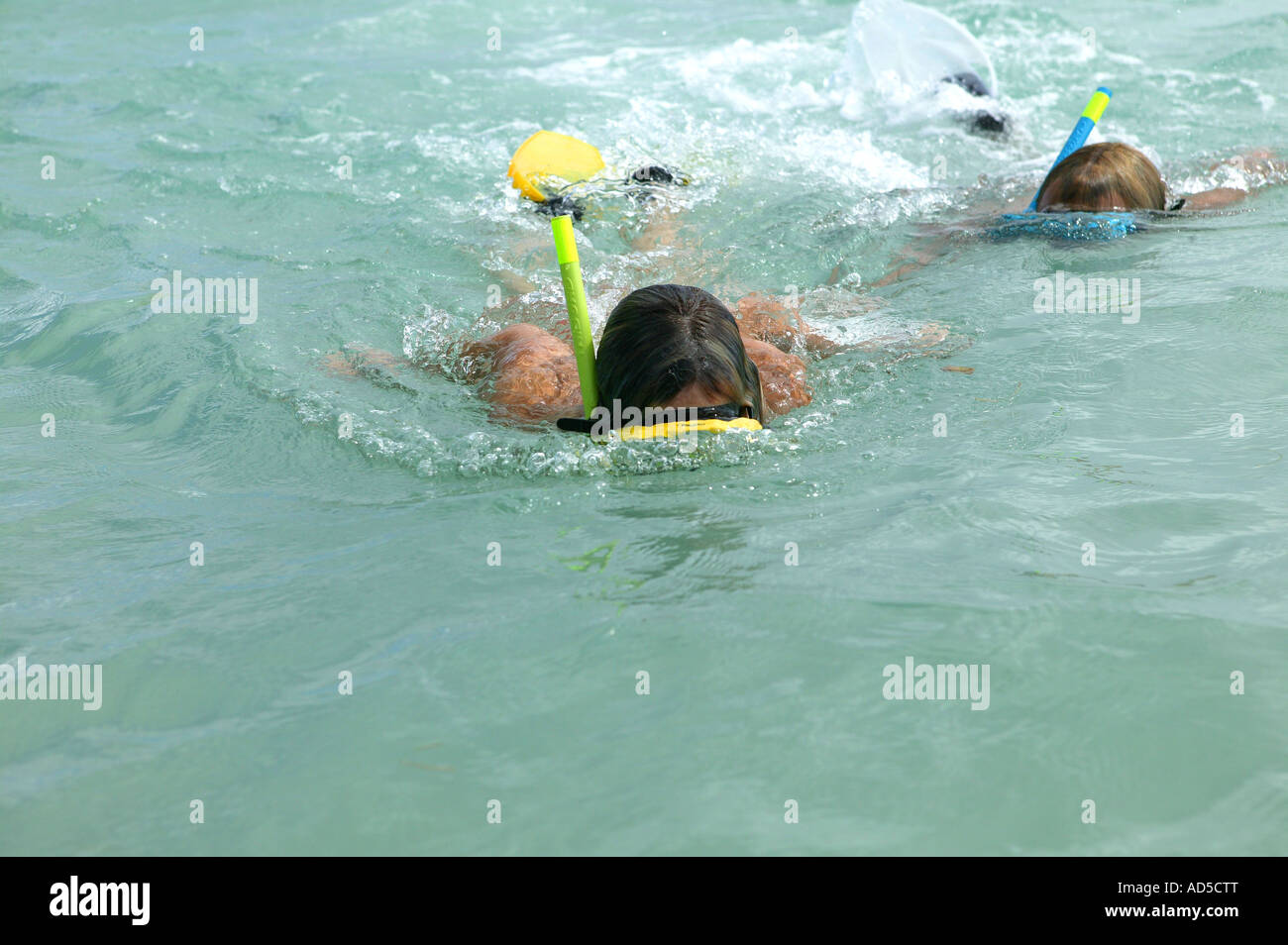 Couple diving in clearwater sea Stock Photo - Alamy