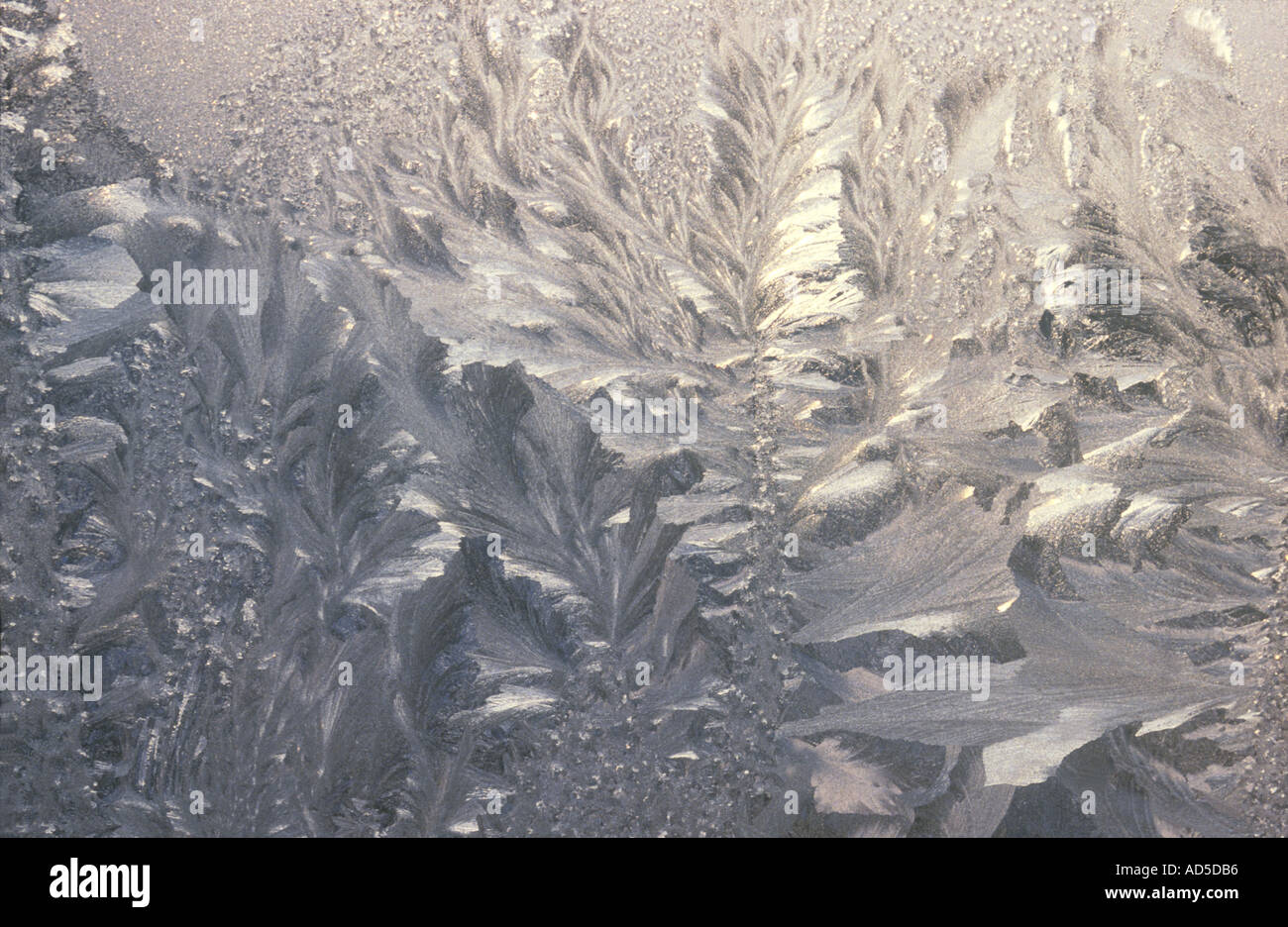 structures of frostwork Stukturen von Eisblumen Stock Photo - Alamy