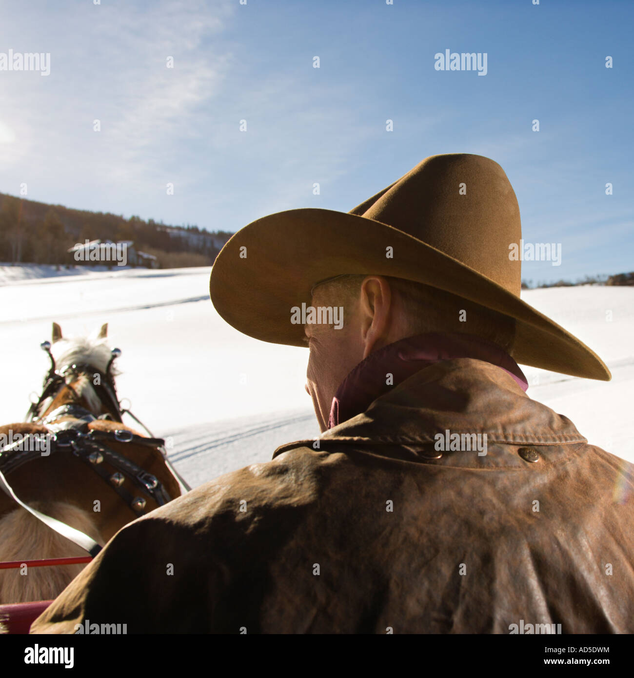 Back view of a middle aged Caucasian male holding the reins of a sleigh ...