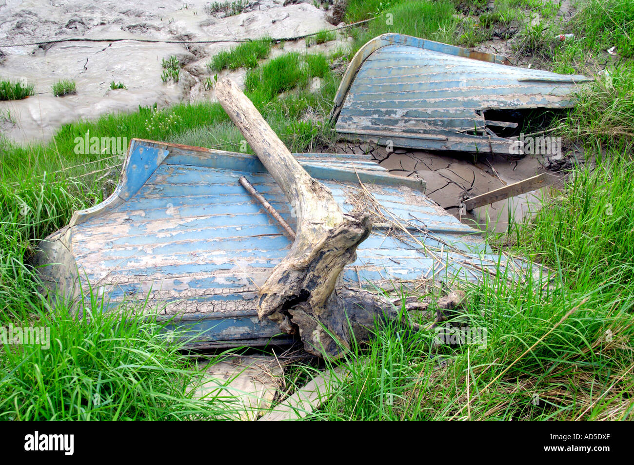 Abandoned rotten wooden boats rotting in the mud on the banks of the ...