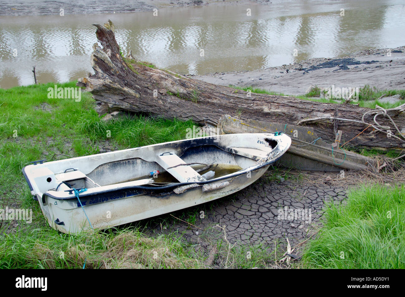 Abandoned boats and tree in mud on the banks of the River Usk at ...