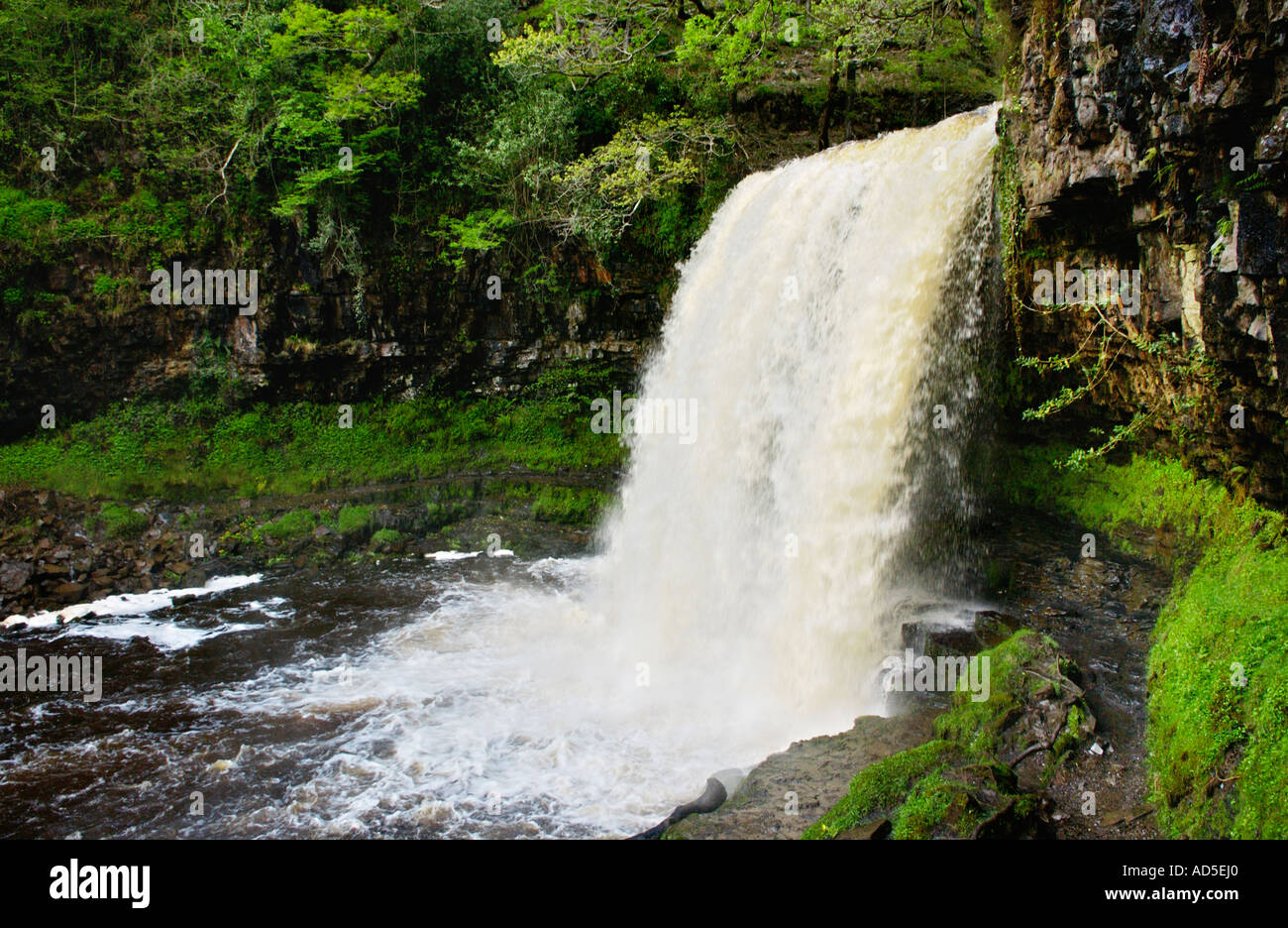 Sgwd yr Eira waterfall on Afon Hepste river near Pontneddfechan South ...