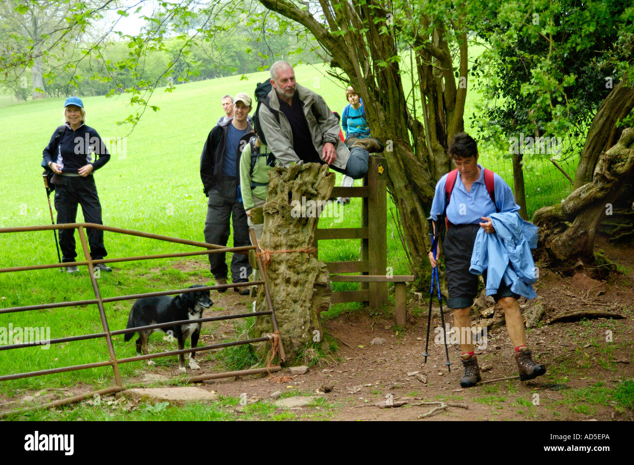 Walkers stile hi-res stock photography and images - Alamy