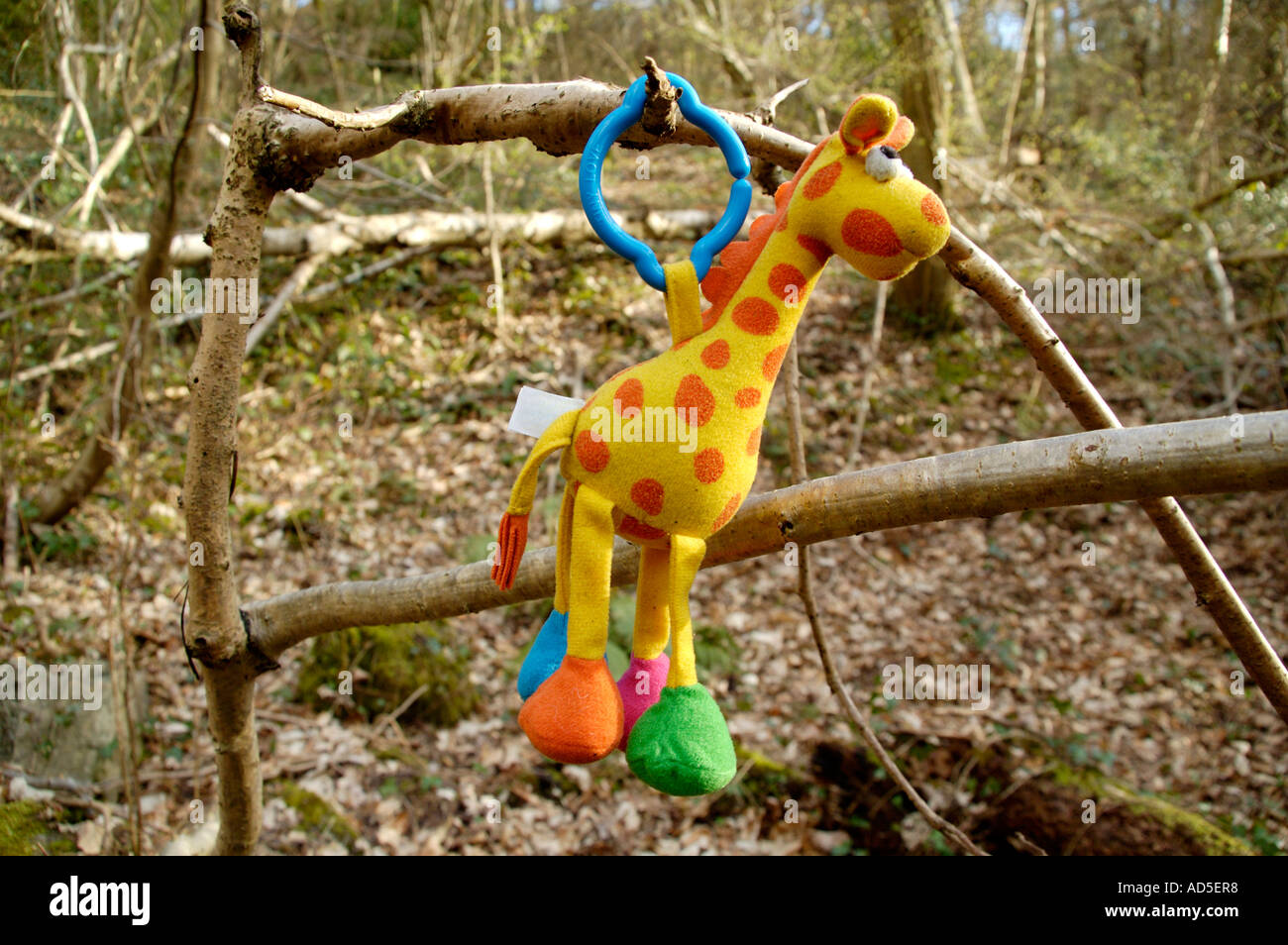 Giraffe lost hi-res stock photography and images - Alamy