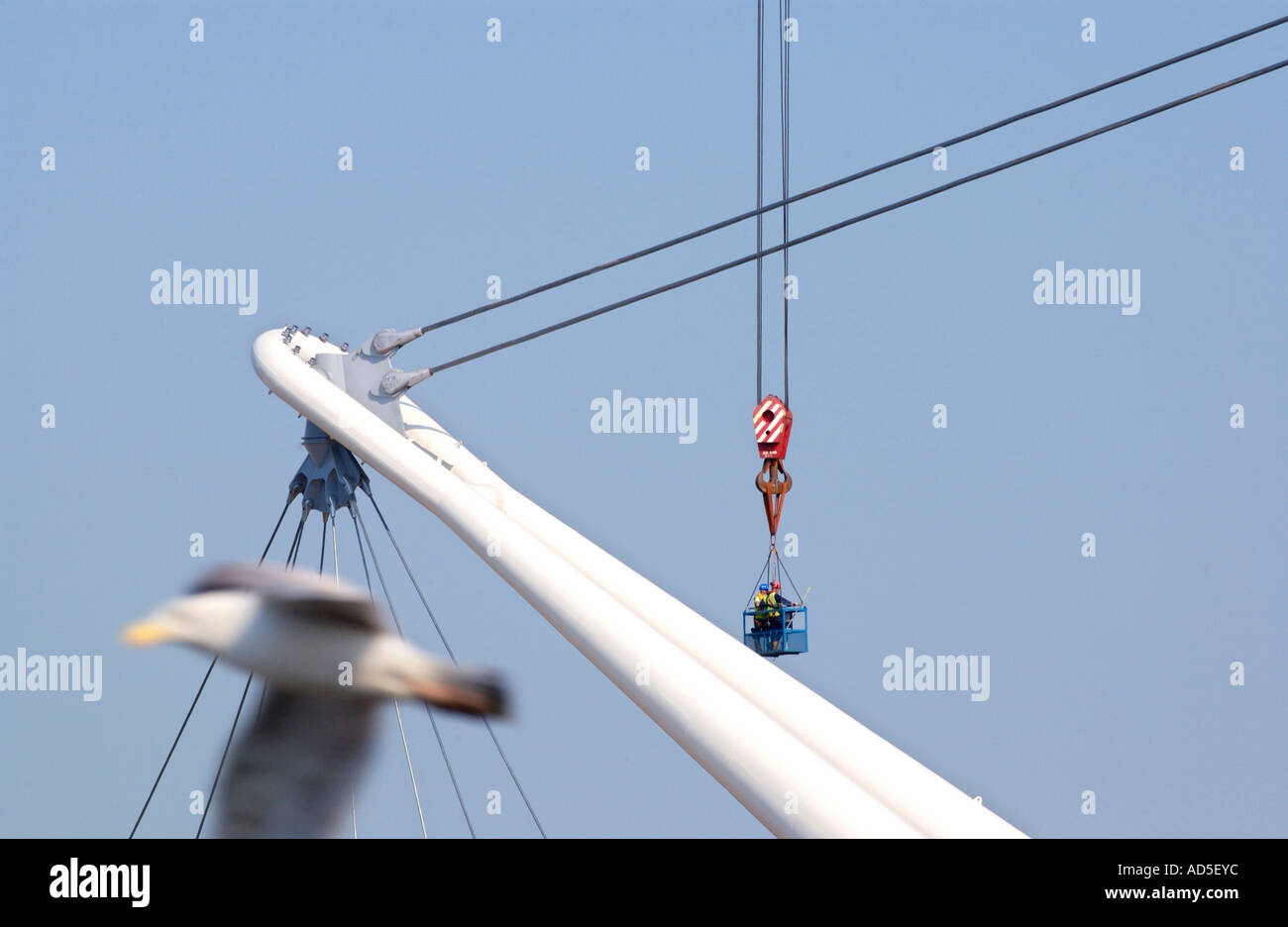Foot and cycle bridge under construction over the River Usk at Newport ...