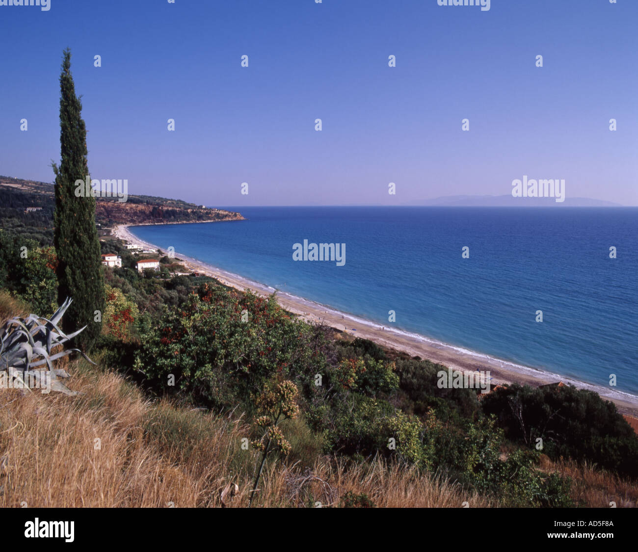 Classic Cephalonia Landscape Lourdas Beach Cypress Tree Greek Islands ...