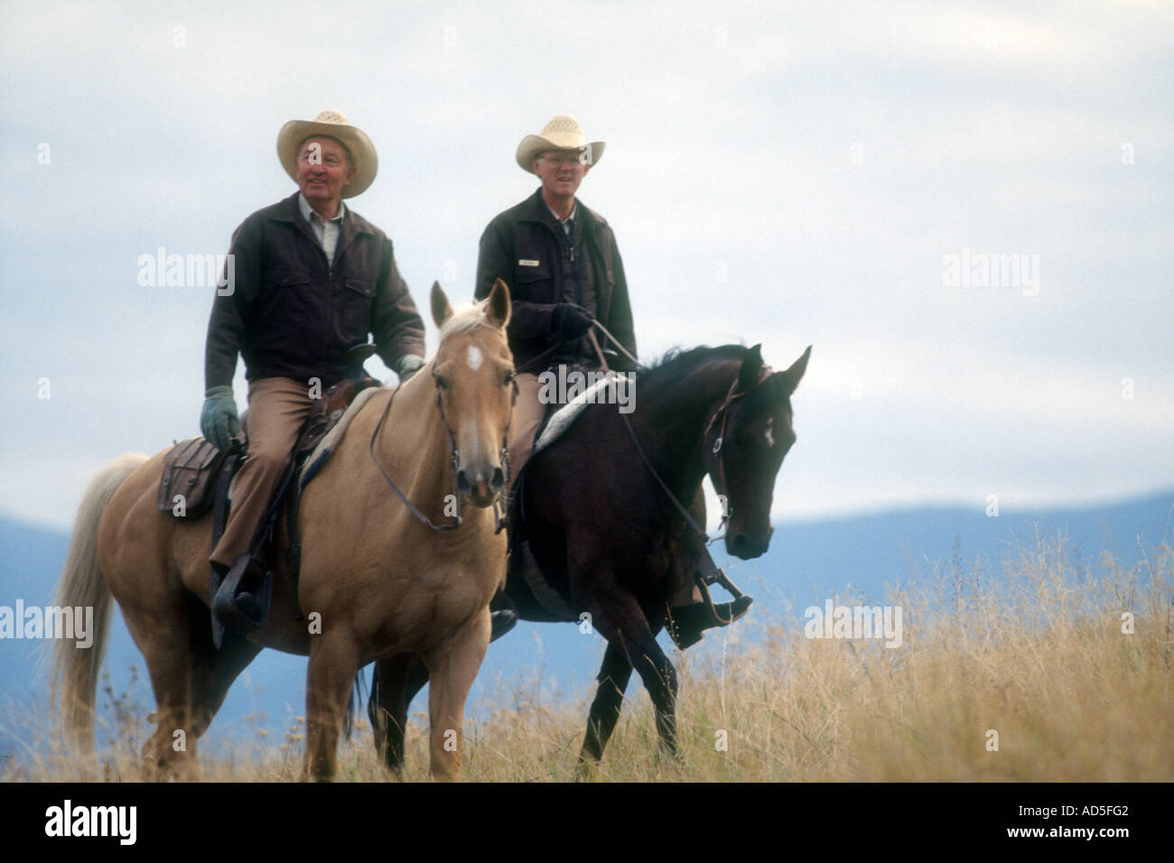 Montana cowboys hi-res stock photography and images - Alamy