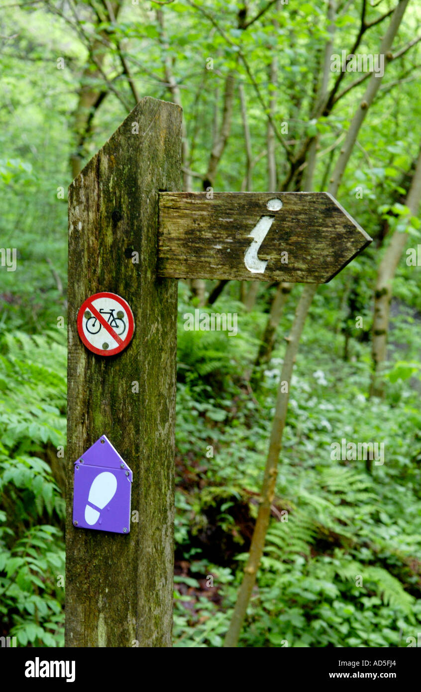 Fingerpost footpath direction sign in woodland on waterfall walk at ...