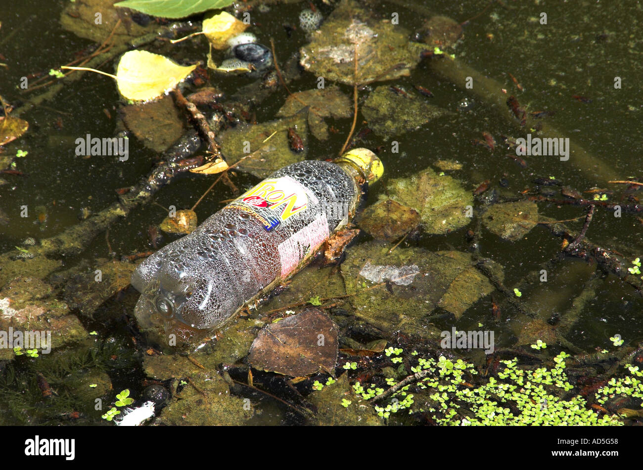Polluted water Stock Photo - Alamy