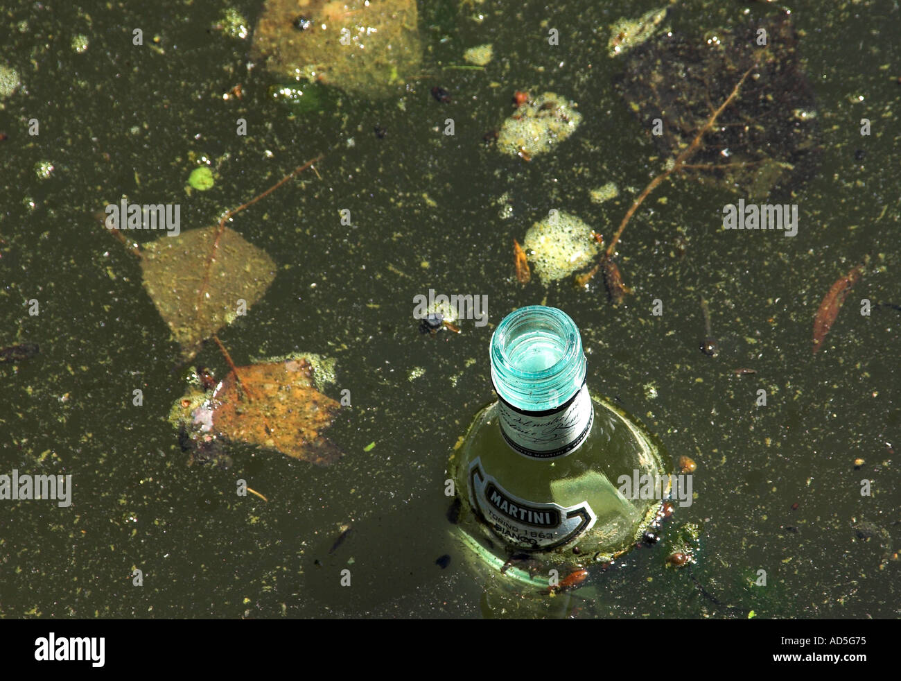 Water pollution Stock Photo - Alamy