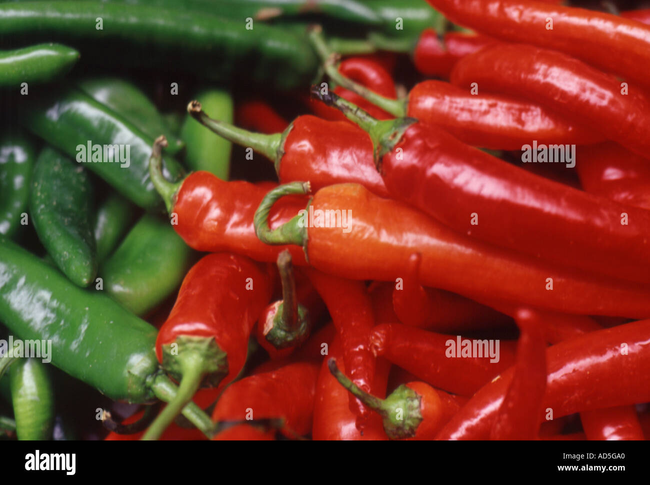 Types of chillies hi-res stock photography and images - Alamy