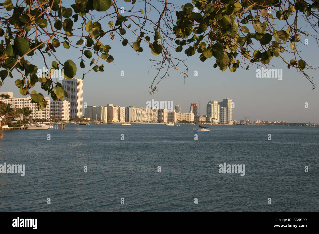 Miami Beach Skyline Stock Photo - Alamy