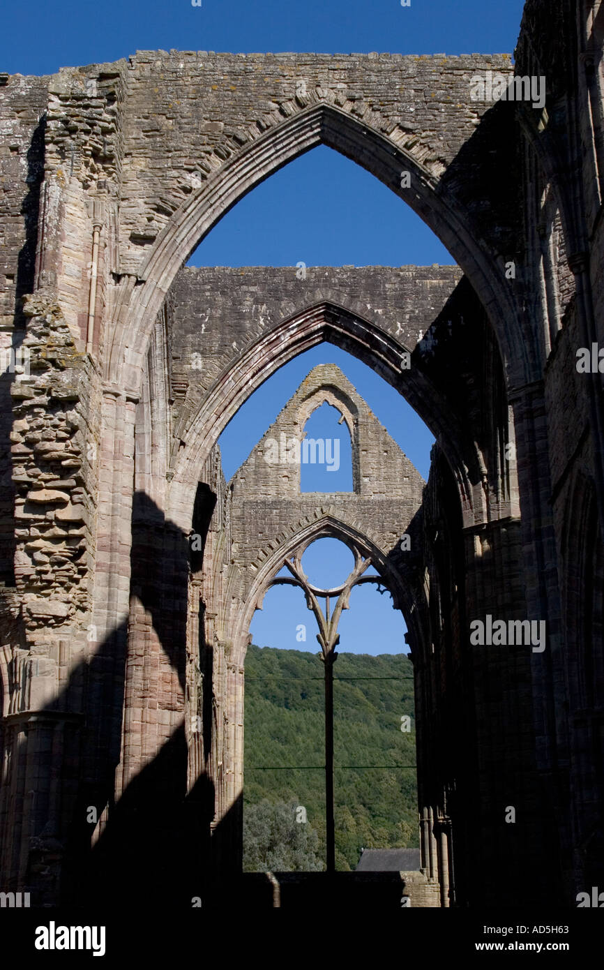 Tintern Abbey Wye Valley Gwent Wales UK Stock Photo - Alamy