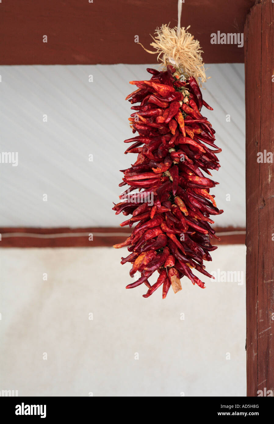 dried red peppers hanging on the wall northern new mexico Stock Photo ...
