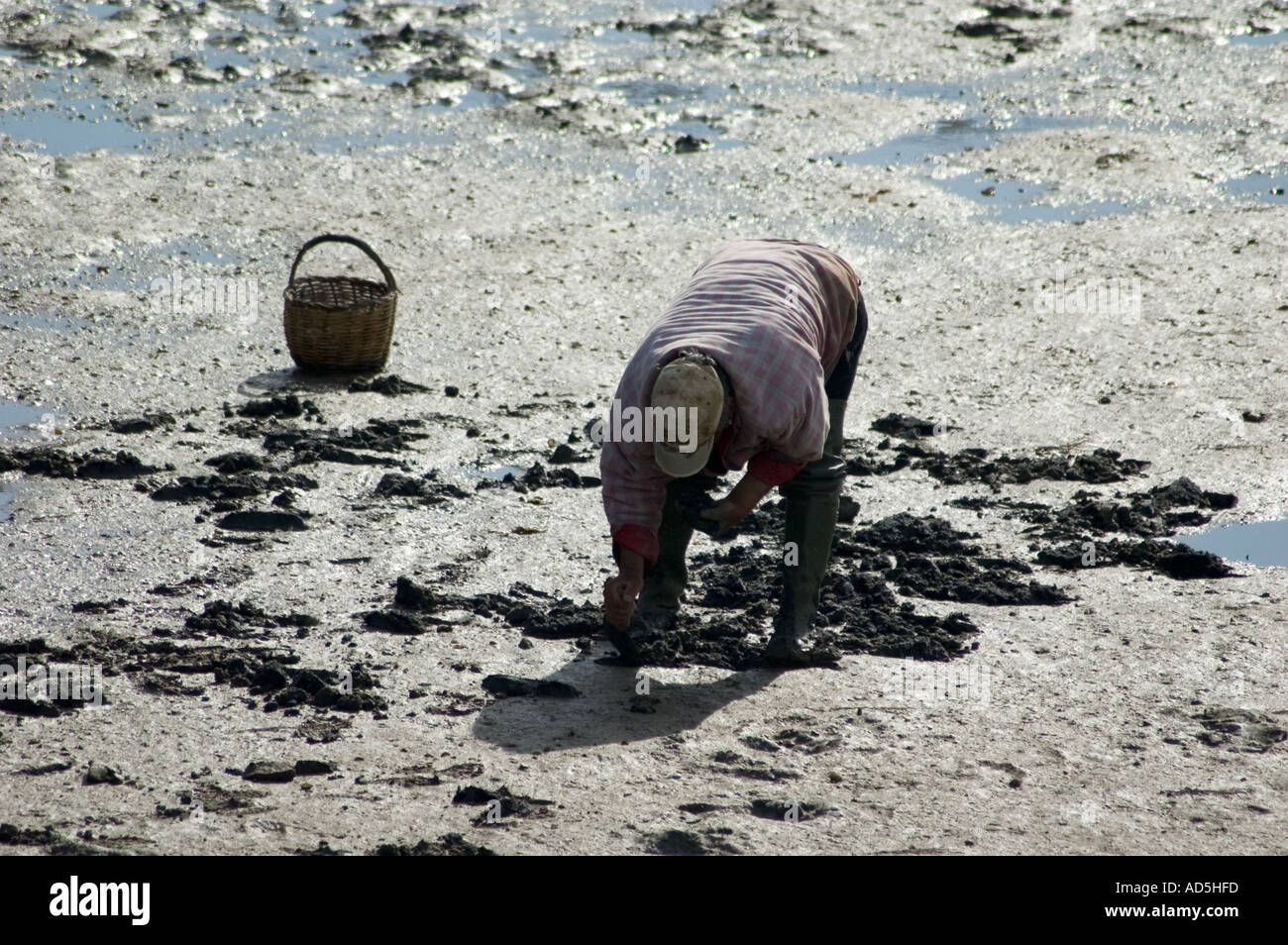 Bait digger hi-res stock photography and images - Alamy