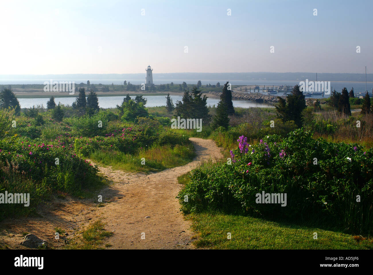 Beach Pathways and Lighthouse in Edgertown Martha's Vineyard New ...