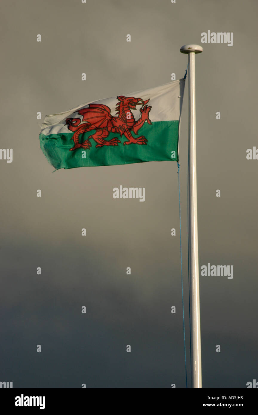 Welsh banner - green and white stripe with red dragon - flying against ...