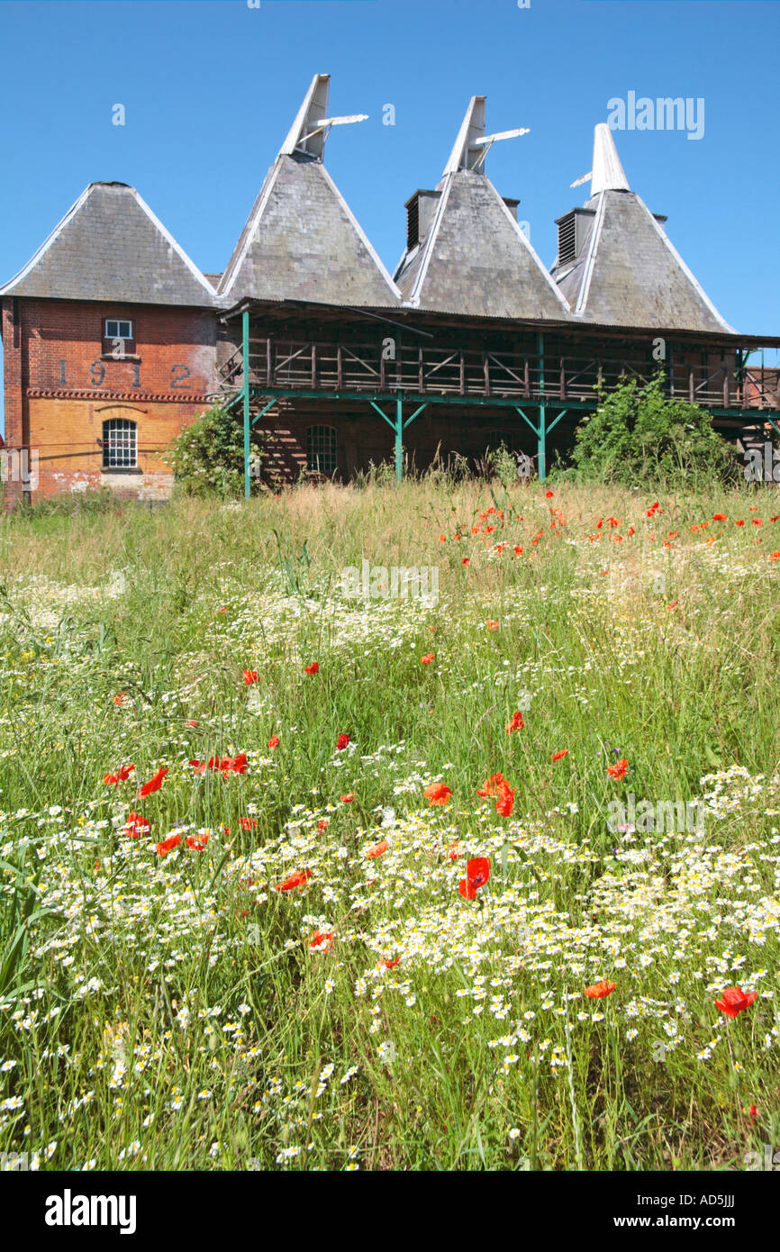 Bishopsbourne countryside hi-res stock photography and images - Alamy
