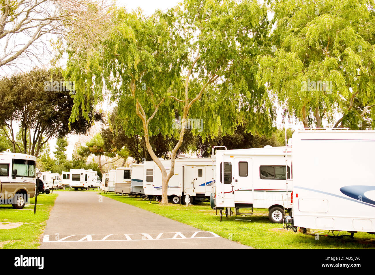 RV trailers parked in campground Stock Photo - Alamy