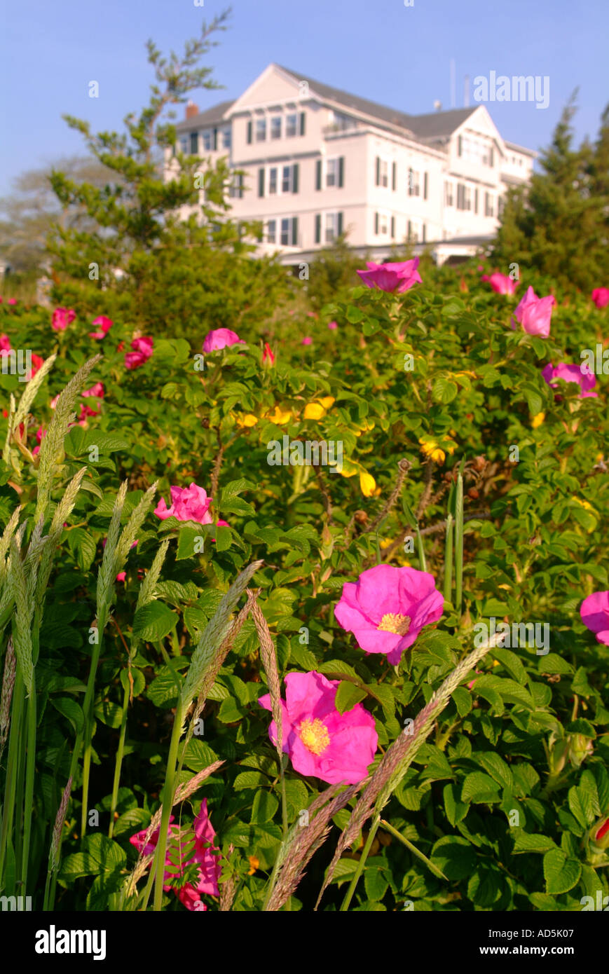 The Harbor View Hotel Edgartown, Martha's Vineyard MA USA massachusetts ...