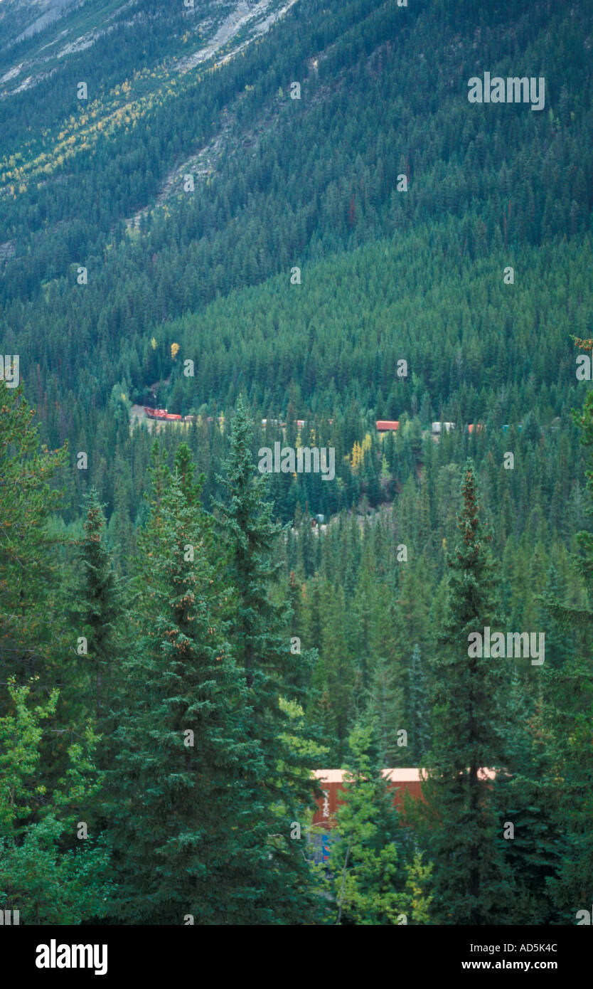 Train negotiating spiral tunnel Kicking Horse Pass Banff Canada Stock ...