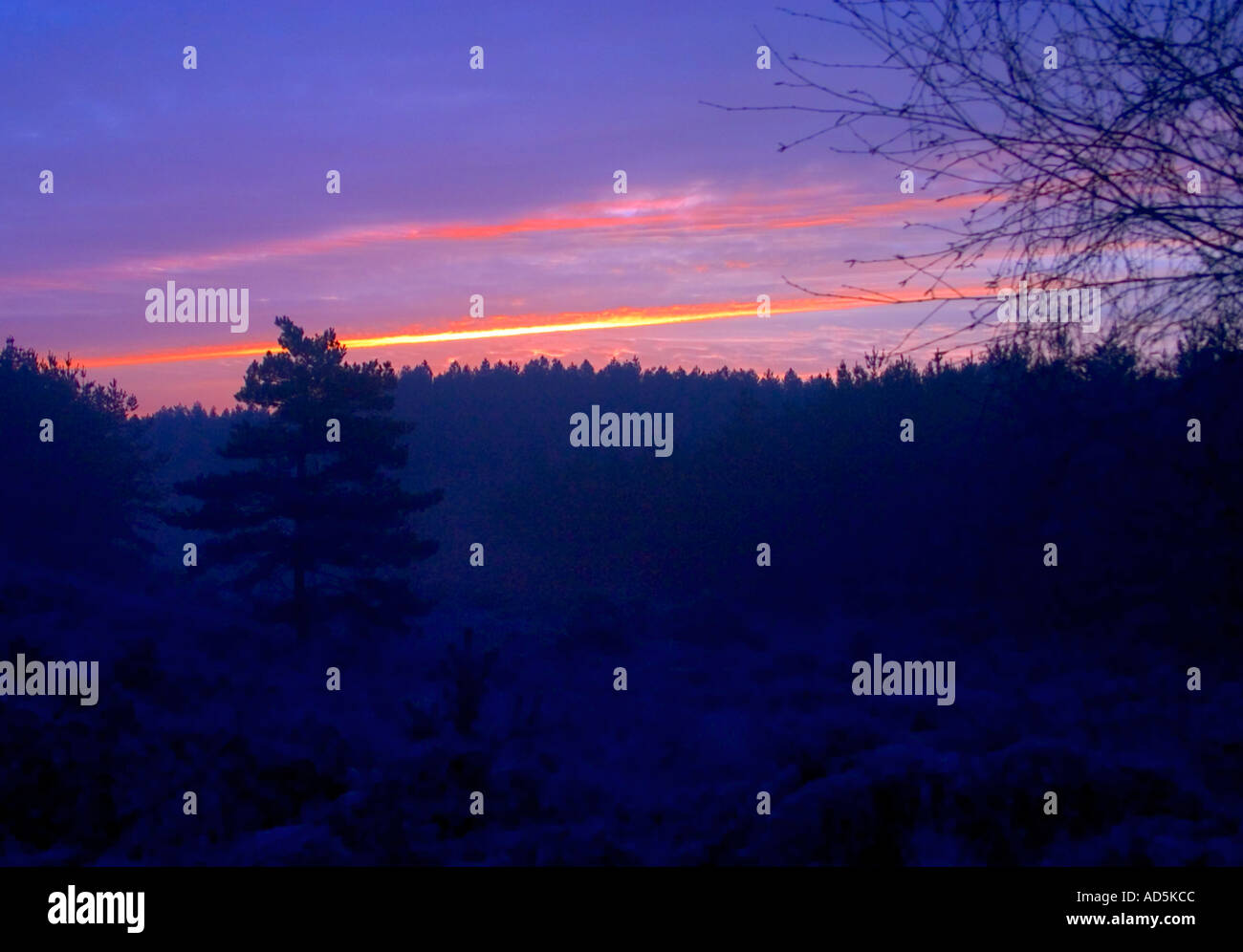 Holt dorset hi-res stock photography and images - Alamy