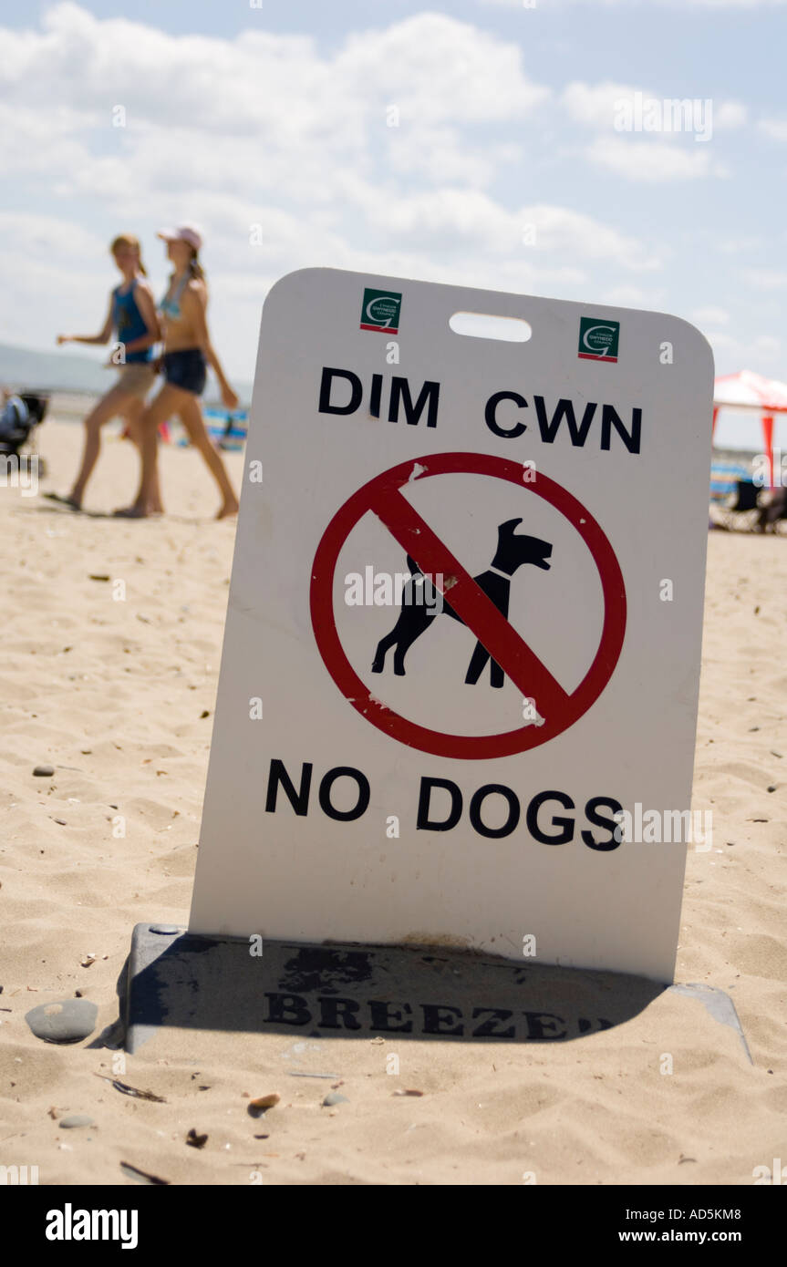 no dogs bilingual welsh and english sign Aberdyfi Aberdovey Gwynedd ...