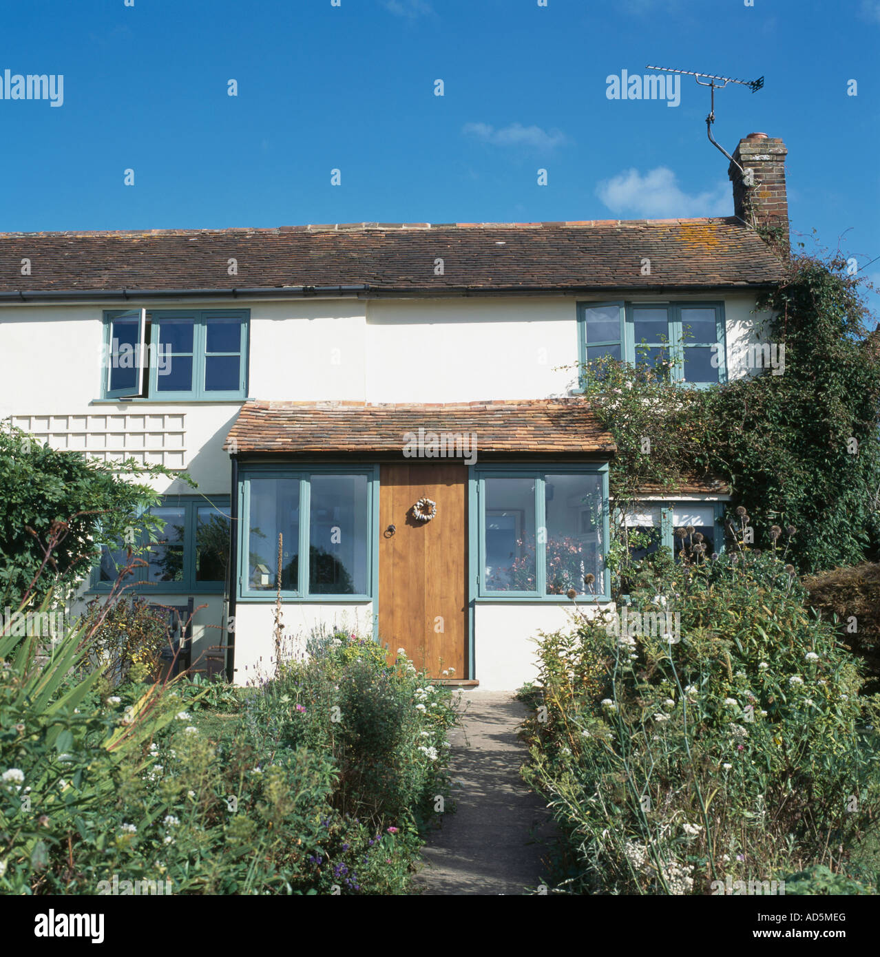 Small porch extension on white cottage with path through untidy flower ...
