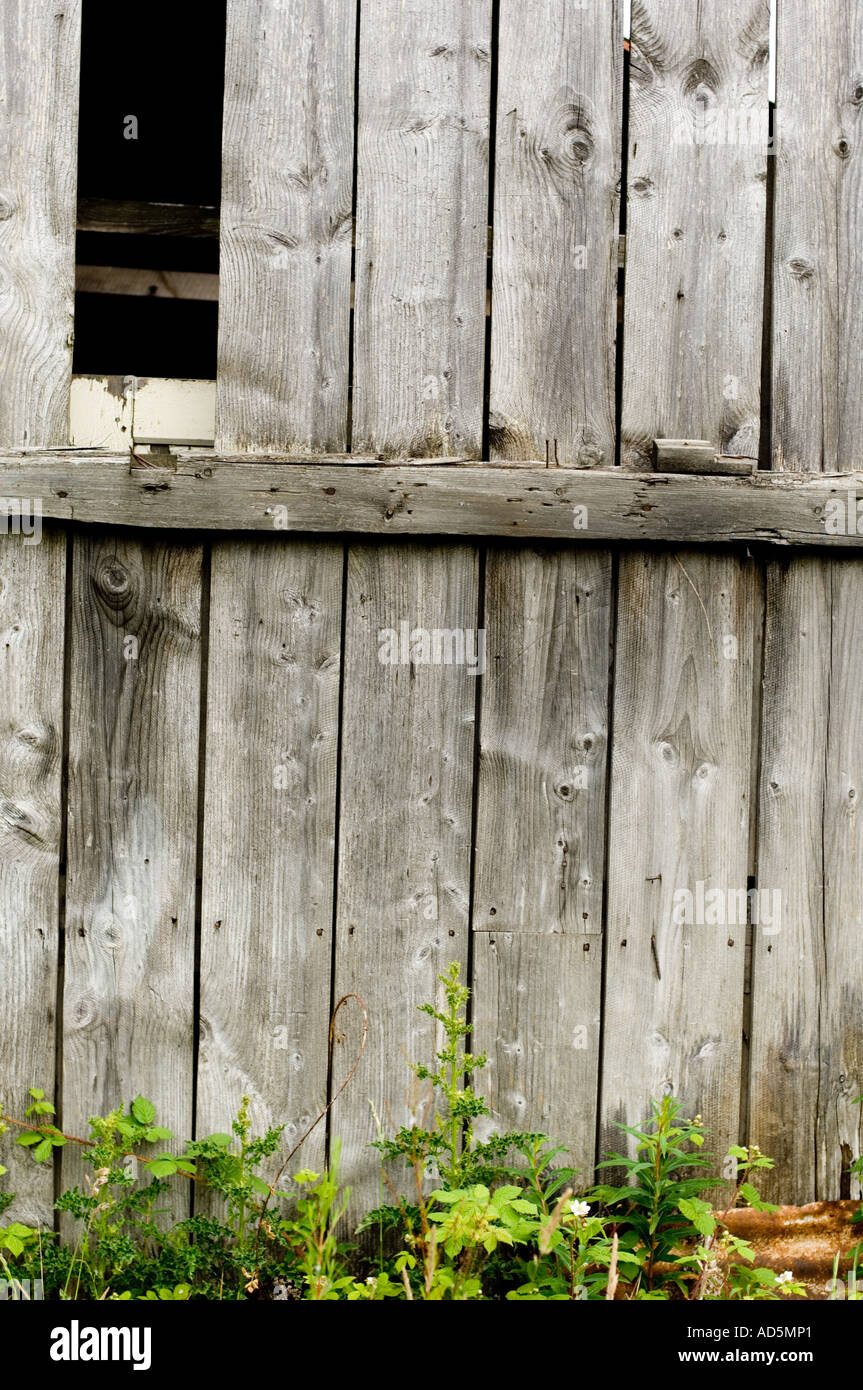 Weathered wood cladding on a shed Stock Photo - Alamy