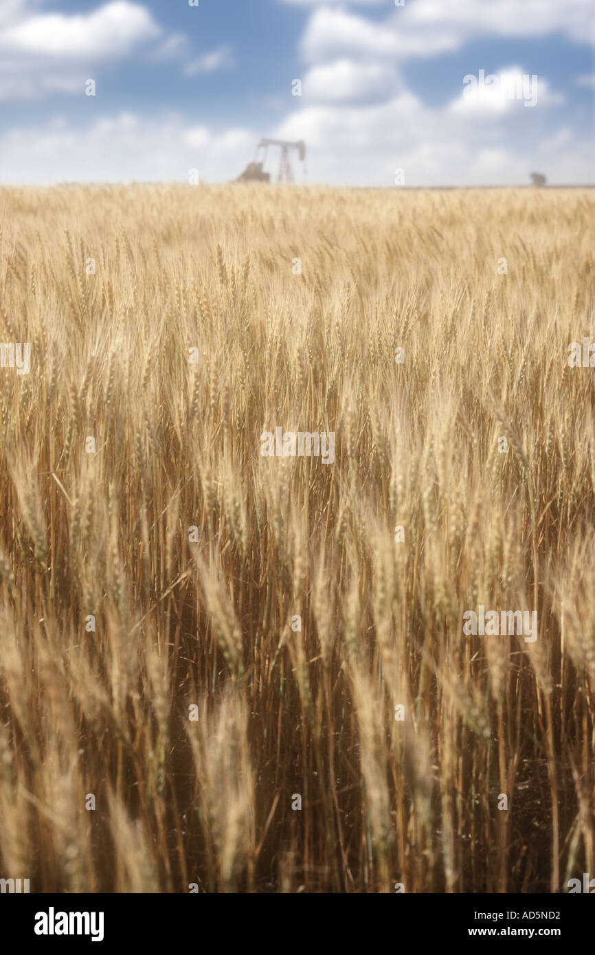 American wheat production hi-res stock photography and images - Alamy