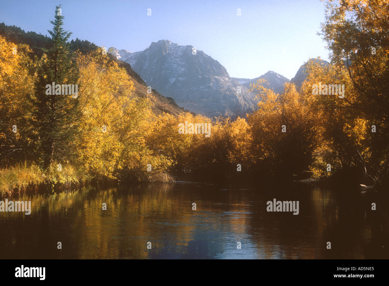 Autumn in the high country Stock Photo - Alamy