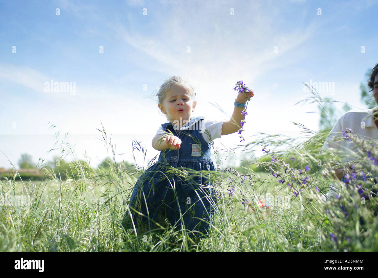 Little girl in the countryside Stock Photo - Alamy