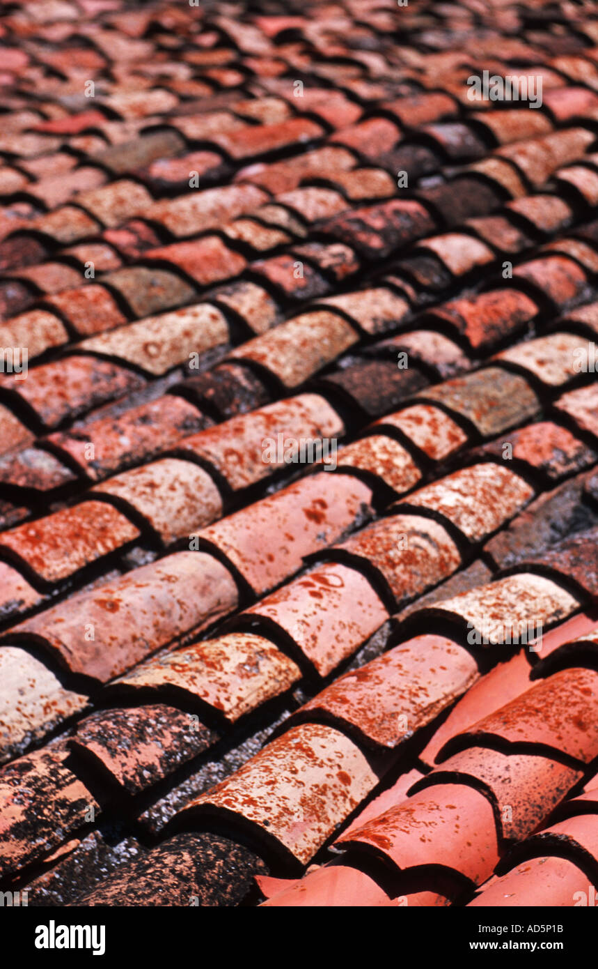 Orange rooftiles hi-res stock photography and images - Alamy
